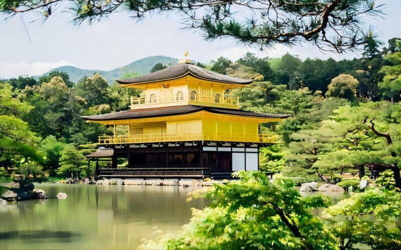 From Osaka: Private Customizable Day Tour to Kyoto - Who Will Love This Tour?