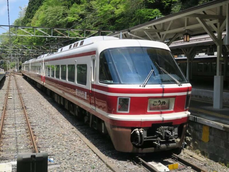 From Osaka: Private Guided Day Trip to Koyasan (UNESCO Site) - Key Points