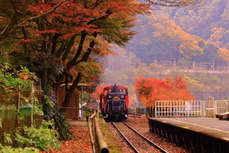From Osaka: Sagano Train Ride and Kyoto Guided Day Tour - Authentic Experiences and Practical Insights from Fellow Travelers