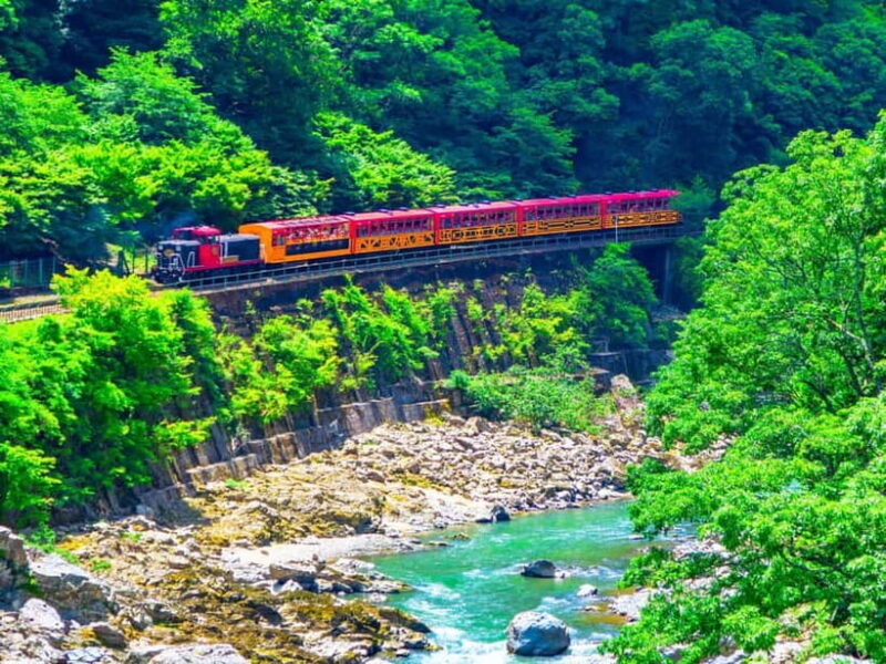 From Osaka: Sagano Train Ride and Kyoto Guided Day Tour - The Bottom Line: Who is This Tour for?