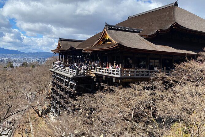 From Osaka to Kyoto for a Day of Culture and History - Who Would Enjoy This Tour?
