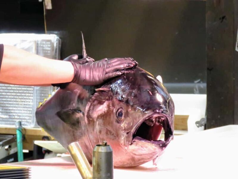 From Osaka/Wakayama: Barbeque and Shopping at Marina City - Key Points