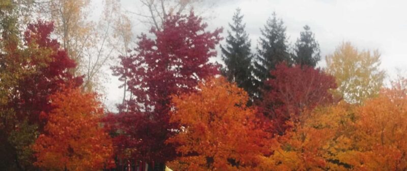 From Ottawa: Gatineau Park Fall Colors Guided Trip - A Detailed Look at the Tour