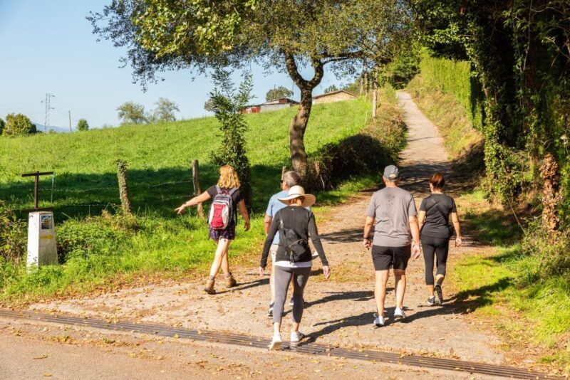 From Oviedo: Half-Day Camino de Santiago Hike - Who Will Love This Tour?