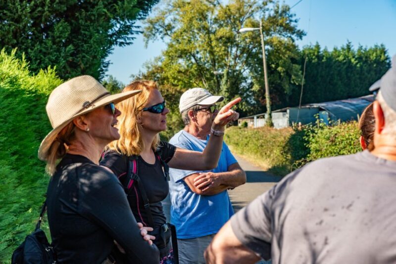 From Oviedo: Half-Day Camino de Santiago Hike - The Sum Up