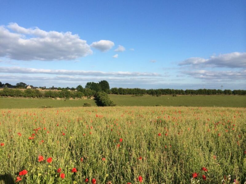 From Oxford: Cotswolds Towns and Villages Small Group Tour - Burford: The Gateway to the Cotswolds
