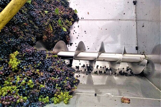 From Padua: Olive Oil & Wine in the Euganean Hills - FAQ
