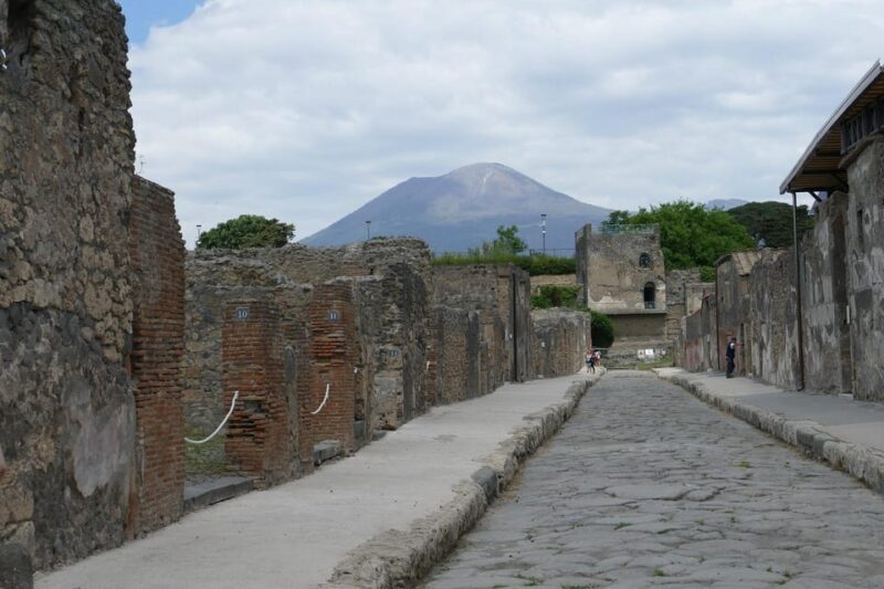 From Paestum:Pompeii guided Tour with Wine Tasting and lunch - Key Points