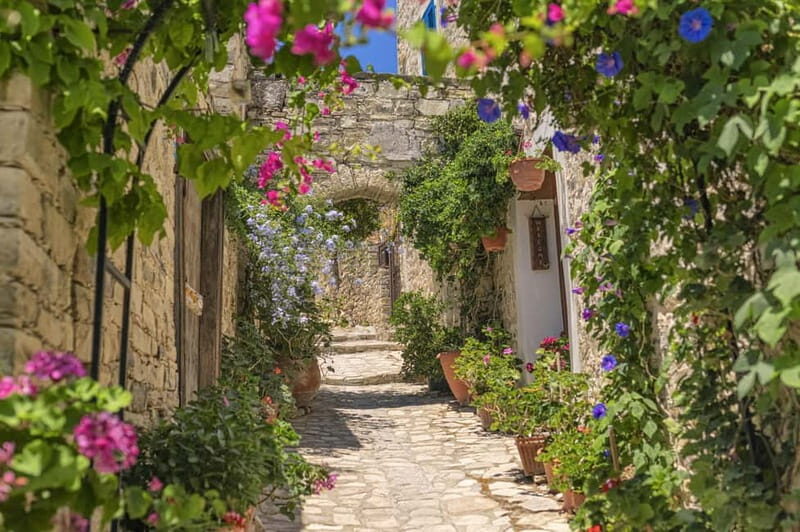From Pafos/Limassol: Tastes of Cyprus Tour in Polish - Practical Details and Tips