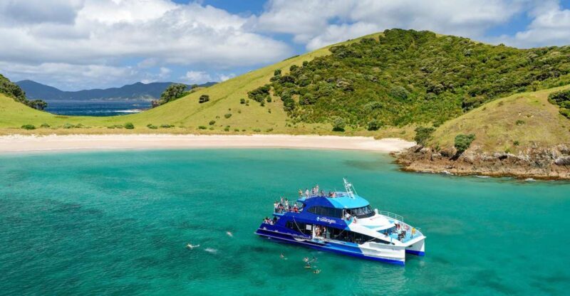 From Paihia: Day in the Bay - Full-Day Bay of Islands Cruise - What to Expect on This Full-Day Cruise
