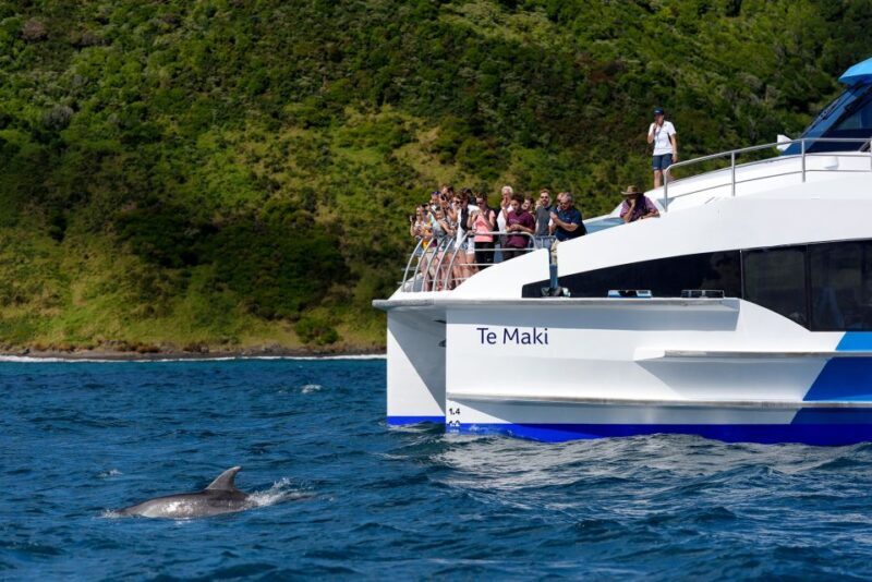From Paihia: Day in the Bay - Full-Day Bay of Islands Cruise - Comfort and Extras