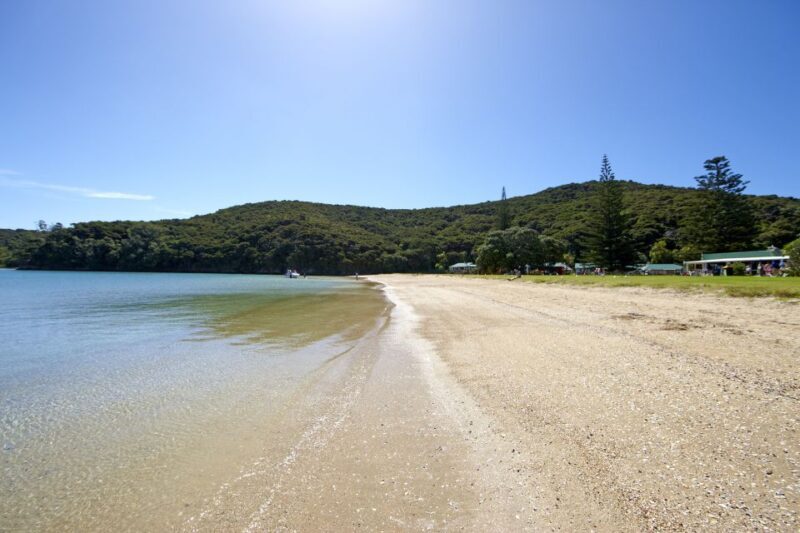 From Paihia: Day in the Bay - Full-Day Bay of Islands Cruise - Authentic Experiences Highlighted by Travelers