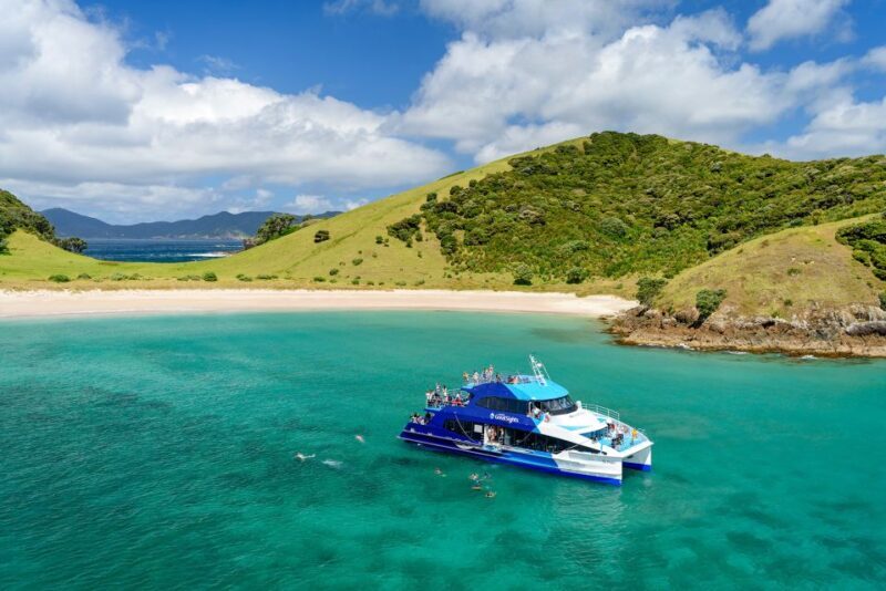 From Paihia: Day in the Bay - Full-Day Bay of Islands Cruise - Final Thoughts