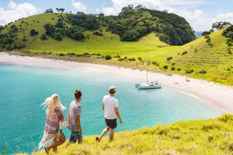 From Paihia: Island-Hopper Sailing Cruise with Picnic Lunch - An Introduction to the Tour Experience