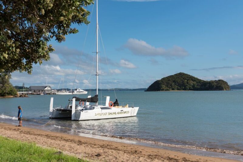 From Paihia: Island-Hopper Sailing Cruise with Picnic Lunch - Who Will Love This Tour?
