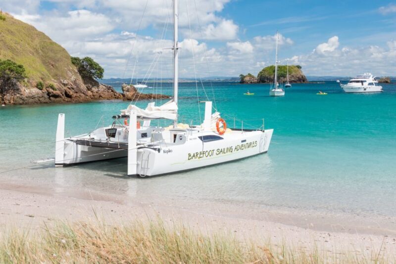 From Paihia: Island-Hopper Sailing Cruise with Picnic Lunch - Final Thoughts
