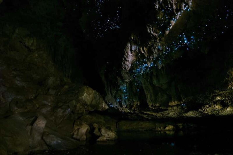 From Paihia: Kawiti Glowworm Caves Guided Tour - Key Points