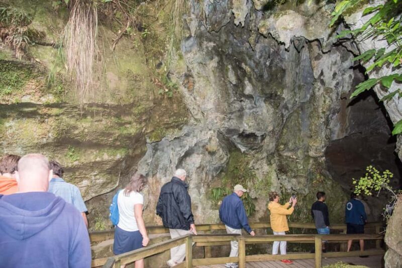 From Paihia: Kawiti Glowworm Caves Guided Tour - An In-Depth Look at the Kawiti Glowworm Caves Tour