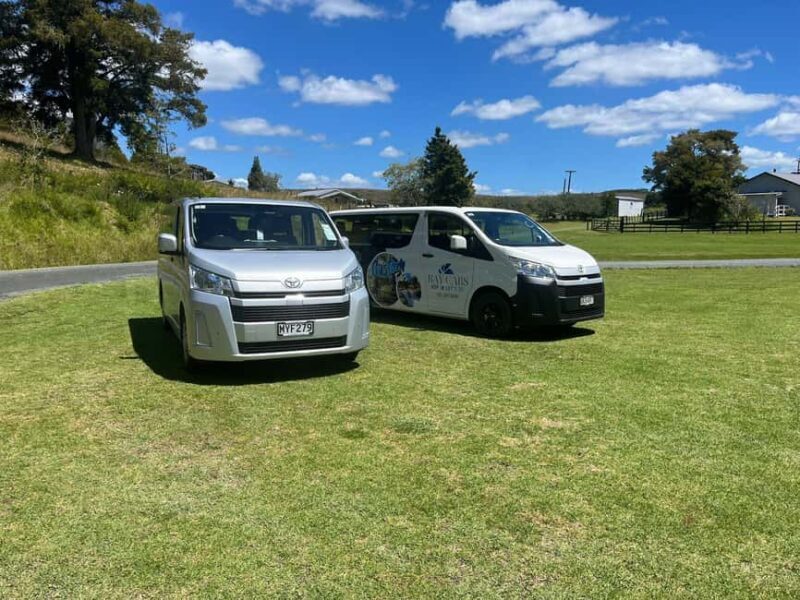 From Paihia: Kawiti Glowworm Caves Guided Tour - The Sum Up