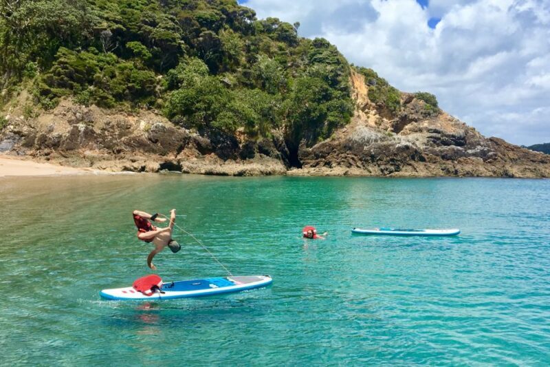 From Paihia: Scenic Cruise with Roberton Island Stopover - The Sum Up