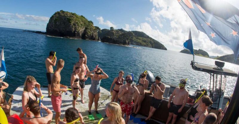 From Paihia: The Rock Adventure Overnight Cruise - Practical Tips for Travelers
