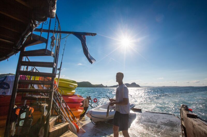 From Paihia: The Rock Adventure Overnight Cruise - Who Should Consider This Tour?