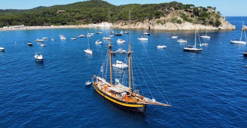 From Palamos: Scenic Boat Trip to Calella de Palafrugell - A Guided Tour of Scenic Beauty and Cultural Insights