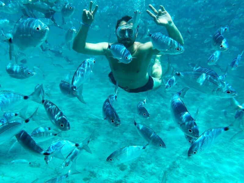 From Palau: La Maddalena Archipelago Catamaran Tour w/ Lunch - Key Points