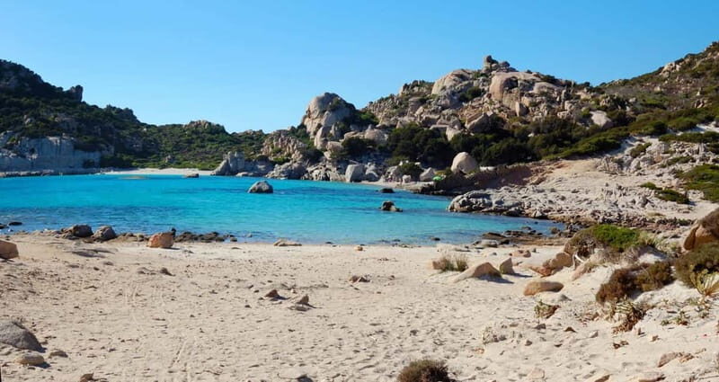 From Palau: La Maddalena Cruise with Lunch & Drinks - Who Will Love This Tour?