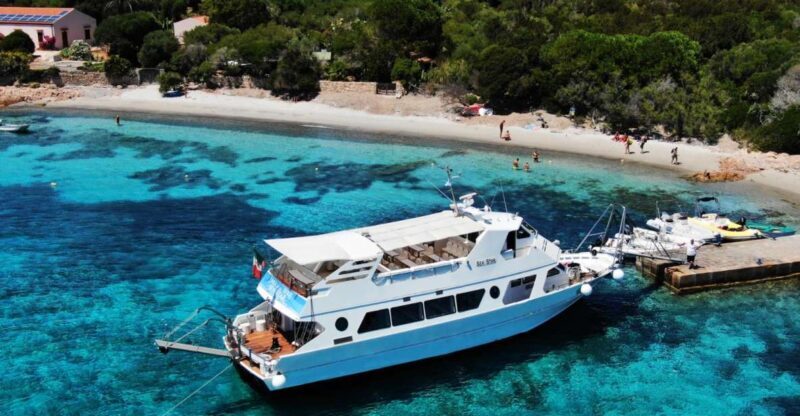 From Palau: La Maddalena Islands Full-Day Trip by Boat - Authentic Experiences and Traveler Feedback