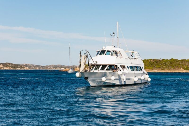 From Palau: La Maddalena Islands Full-Day Trip by Boat - Frequently Asked Questions