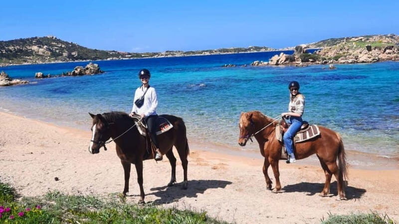From Palau: minibus tour and horseback ride in La Maddalena - Key Points