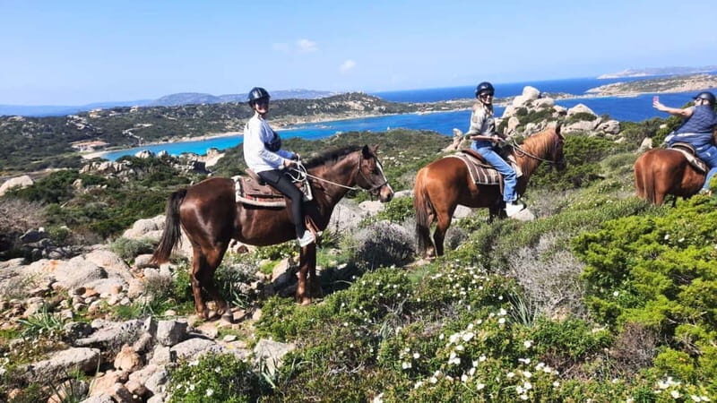From Palau: minibus tour and horseback ride in La Maddalena - An In-Depth Look at the La Maddalena Experience