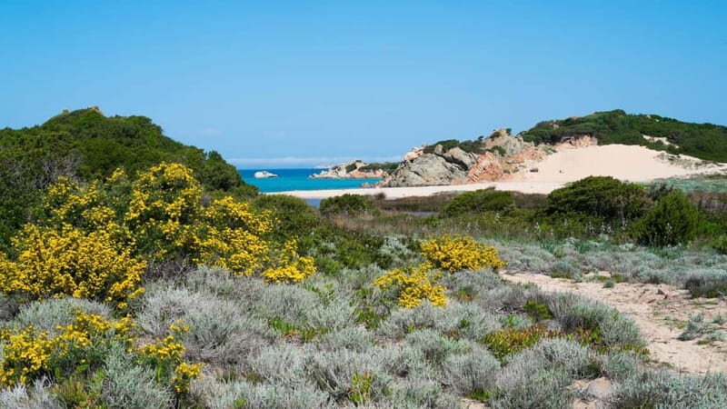 From Palau: minibus tour and horseback ride in La Maddalena - FAQ