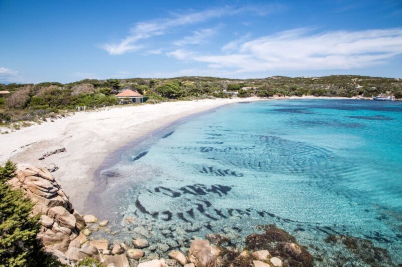 From Palau or La Maddalena: Archipelago Sailing Ship Tour - Key Points