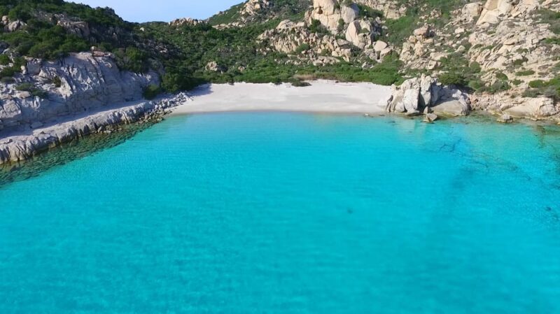 From Palau or La Maddalena: Maddalena Archipelago Boat Tour - Key Points