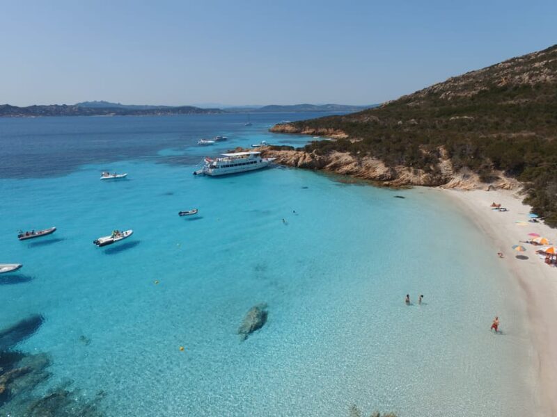 From Palau or La Maddalena: Maddalena Archipelago Boat Tour - Practicalities and Value