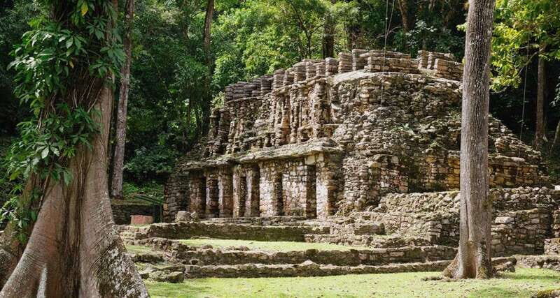 From Palenque: Bonampak & Yaxchilán - An In-Depth Look at the Tour Experience