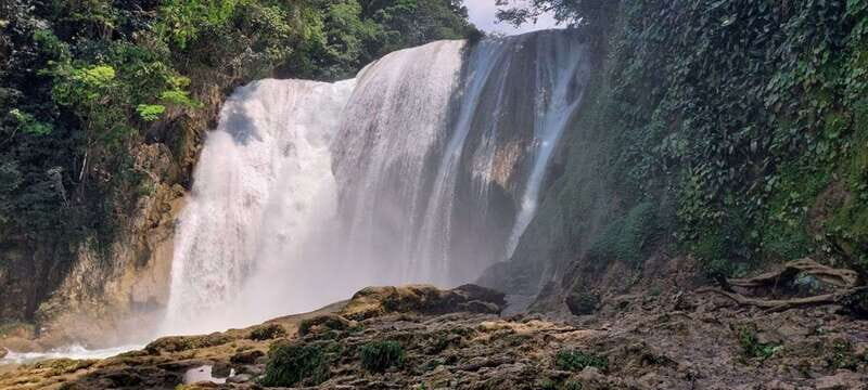 From Palenque: El Salto Waterfall Private Tour - Summary of the Experience