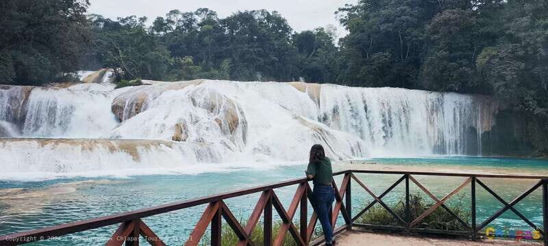 From Palenque: Misol-Ha & Agua Azul Waterfalls Day Tour - Return Journey
