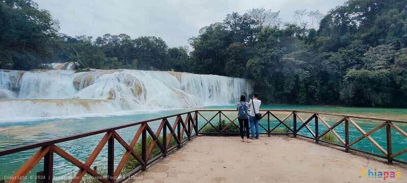 From Palenque: Misol-Ha & Agua Azul Waterfalls Day Tour - How the Reviews Shape Up