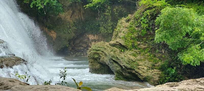 From Palenque: Palenque and Roberto Barrios Waterfalls Tour - The Authentic Experience: What Travelers Say