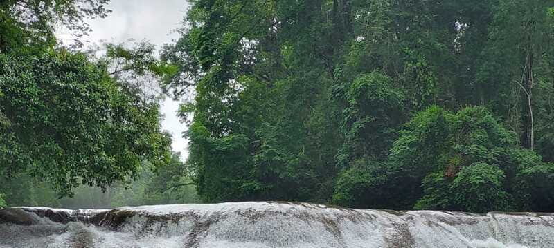 From Palenque: Palenque and Roberto Barrios Waterfalls Tour - Summary: Who Is This Tour Best For?