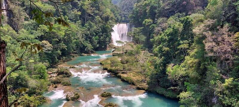 From Palenque: Roberto Barrios and El Salto Waterfalls Tour - A Detailed Look at the Waterfalls Tour