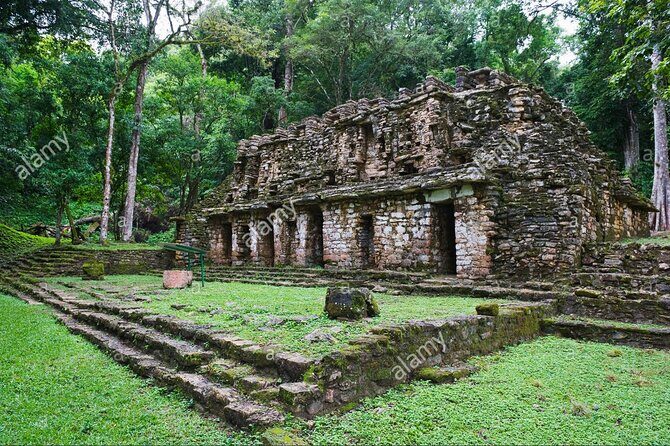 From Palenque to Bonampak - Yaxchilan Selva 1 day - The Itinerary: What You Can Expect on This Full-Day Jungle Adventure