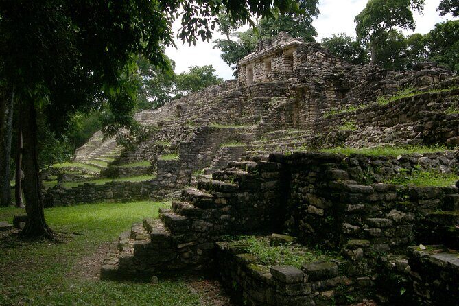 From Palenque to Bonampak - Yaxchilan Selva 1 day - The Experience: What Travelers Are Saying