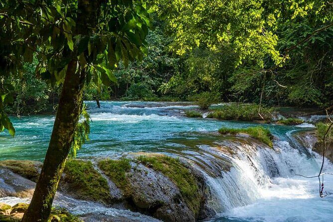 From Palenque to Zona Arq. De Palenque, Misol Ha and Agua Azul - Why This Tour Will Suit You