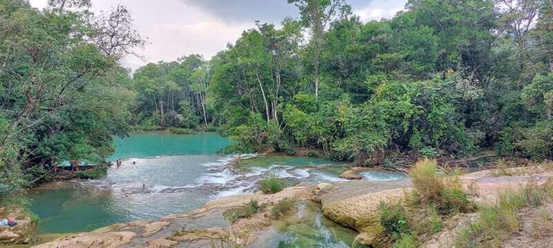 From Palenque: Tour of the Roberto Barrios Waterfalls - Key Points