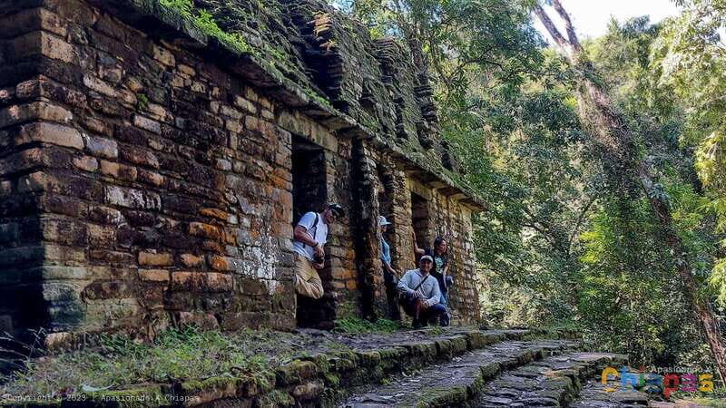 From Palenque: Yaxchilán and Bonampak Tour - Key Points