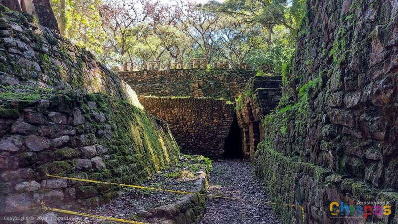 From Palenque: Yaxchilán and Bonampak Tour - The Experience: What to Expect from This Tour